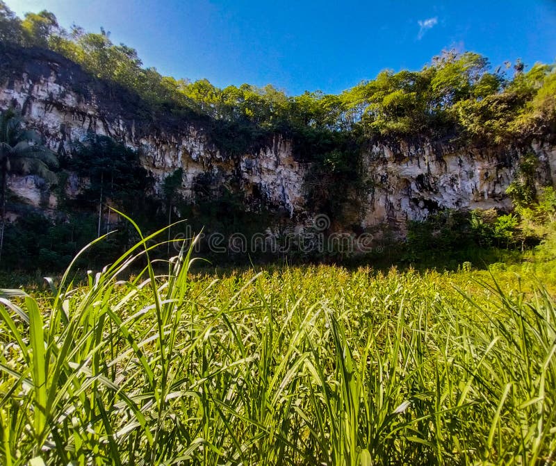 Cornfields and Limestone Cliffs from Below Stock Image - Image of hill ...