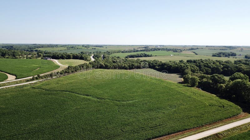 Midwest Cornfields Stock Photos - Free & Royalty-Free Stock Photos from ...