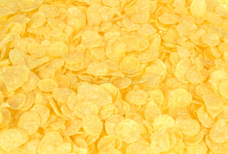 Cereal corn flakes stock photo. Image of kellogs, grain - 4972340