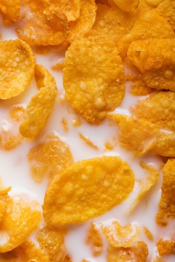 Cornflakes stock image. Image of cornflakes, food, slimming - 1887085
