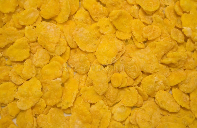 Corn in the Field 2 stock photo. Image of fuels, ethanol - 763364