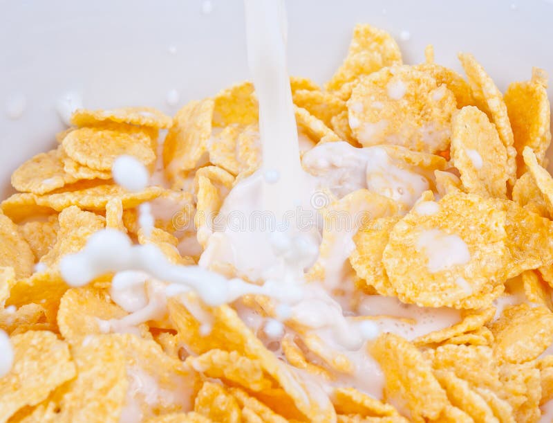 Cornflakes and milk stock image. Image of grains, healthy - 19796079