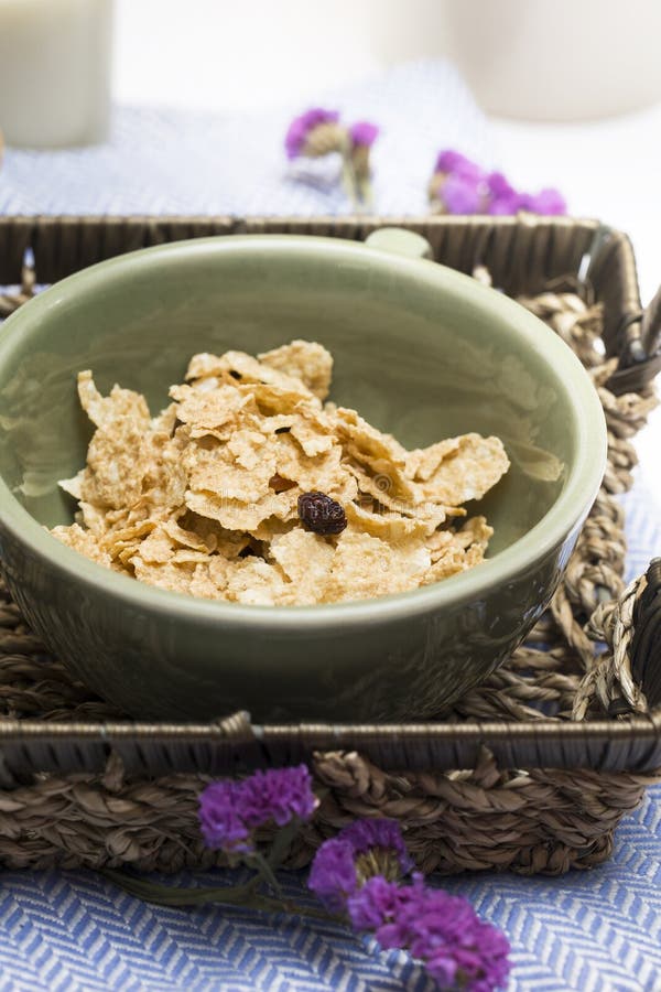 Cornflakes, Milk for Breakfast Stock Photo - Image of milk, drink: 44515510