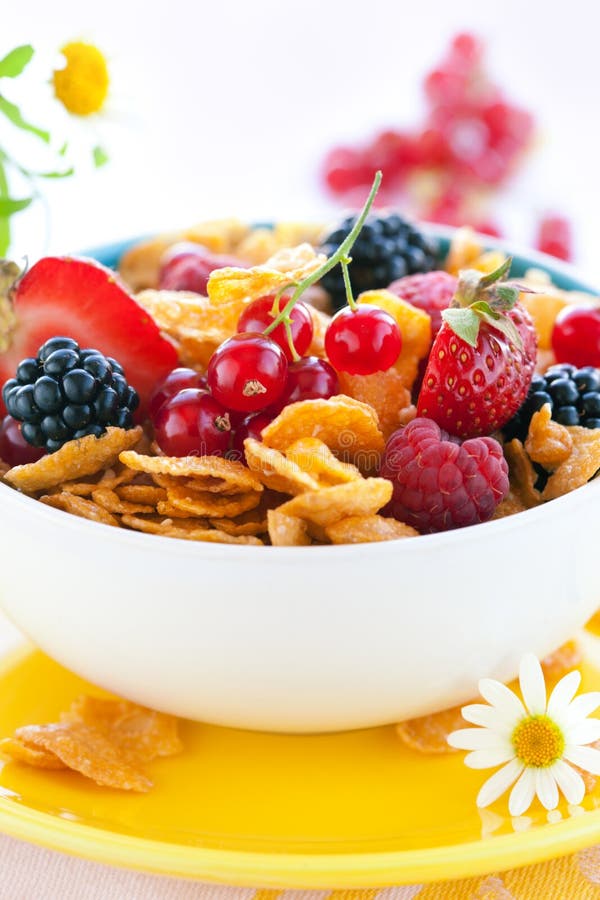 Cornflakes with Milk and Fruits Stock Image - Image of berry, currant ...