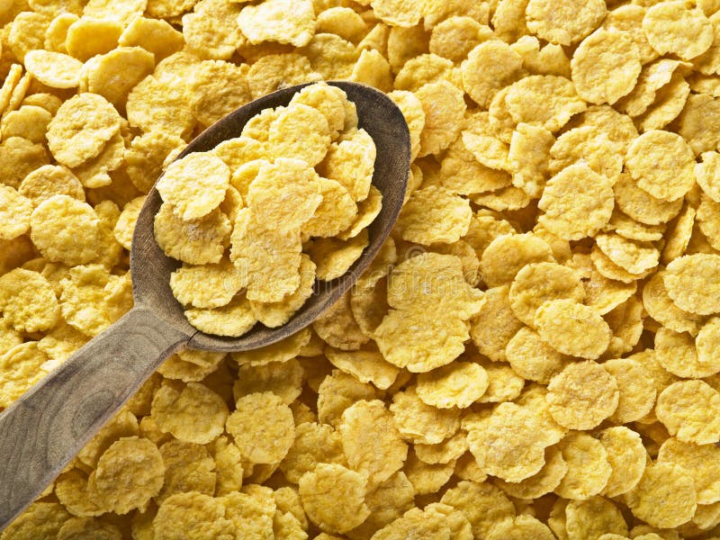 Cornflakes. stock photo. Image of food, eating, healthy - 60220508