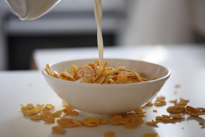 Breakfast Cereal with Milk . Cornflakes with Milk for Breakfast Stock ...