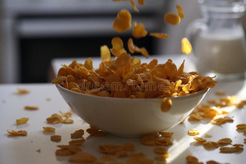 Breakfast Cereal with Milk . Cornflakes with Milk for Breakfast Stock ...