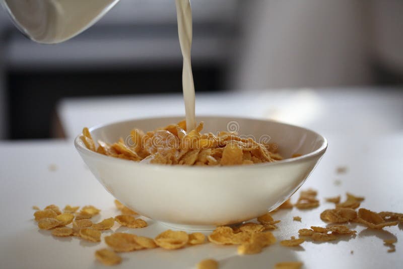 Breakfast Cereal with Milk . Cornflakes with Milk for Breakfast Stock ...