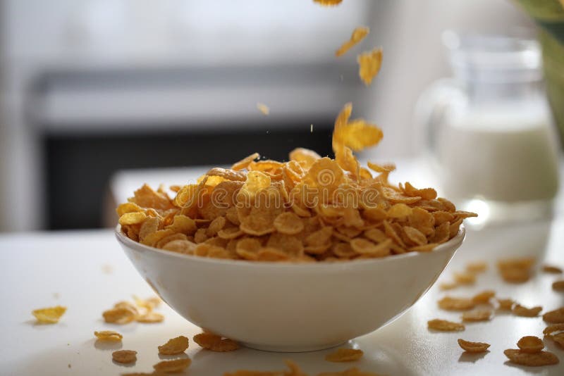 Breakfast Cereal with Milk . Cornflakes with Milk for Breakfast Stock ...