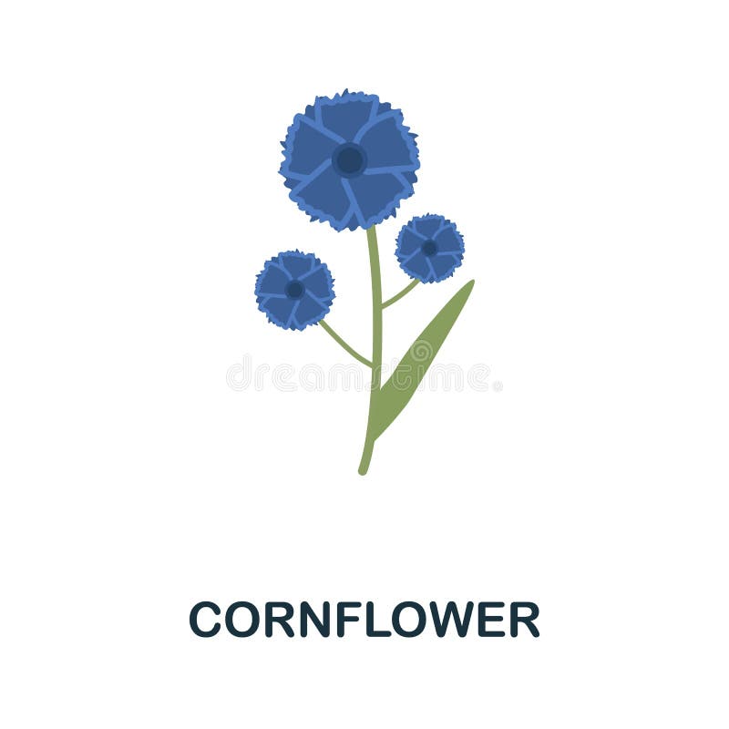 Cornflower Flat Icon. Colored Element Sign from Flowers Collection ...