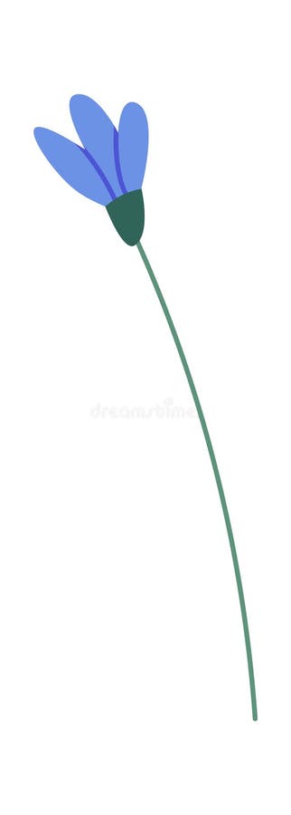 Cornflower Flat Icon Floral Decor Wildflowers Stock Vector ...