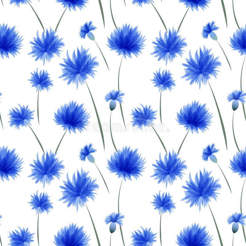 Cornflower pattern stock vector. Illustration of blue - 37696568