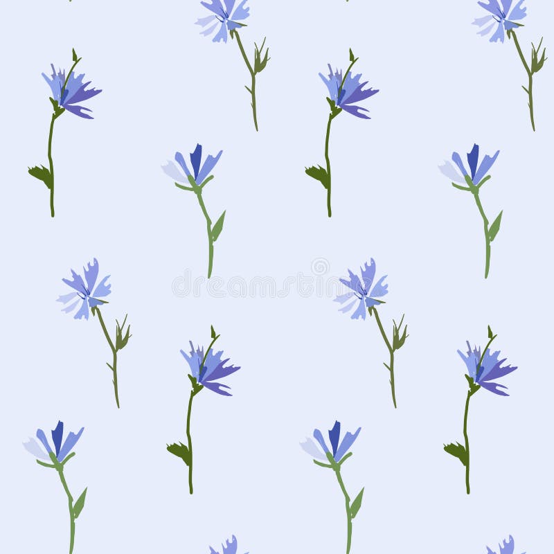 Cornflower Seamless Pattern Stock Vector - Illustration of flower ...