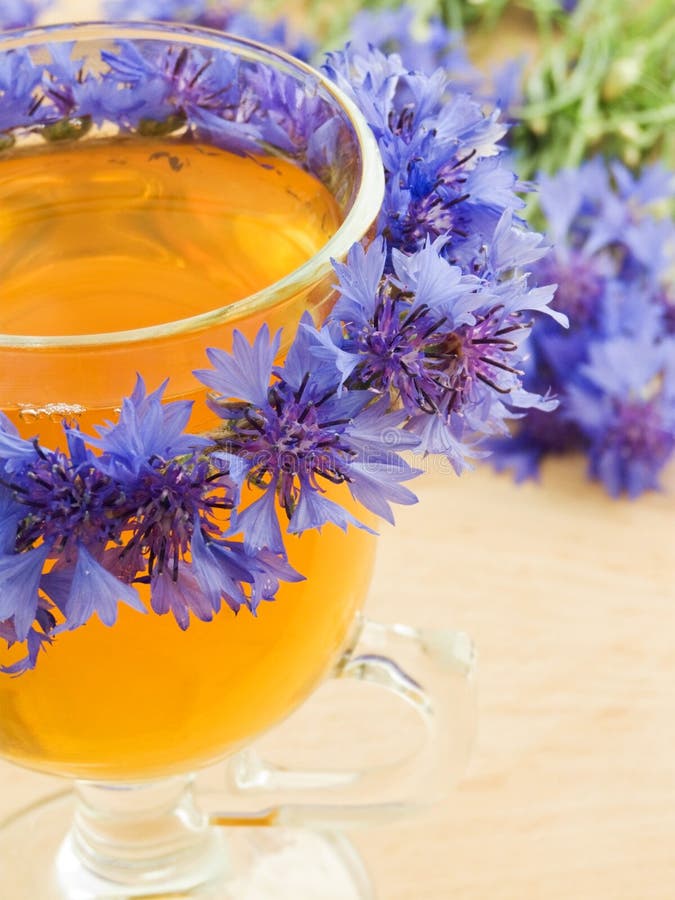 Cornflower tea stock image. Image of relaxation, blossom - 14797703