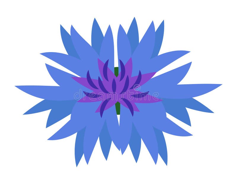 Cartoon Cornflower Stock Illustrations – 832 Cartoon Cornflower Stock ...