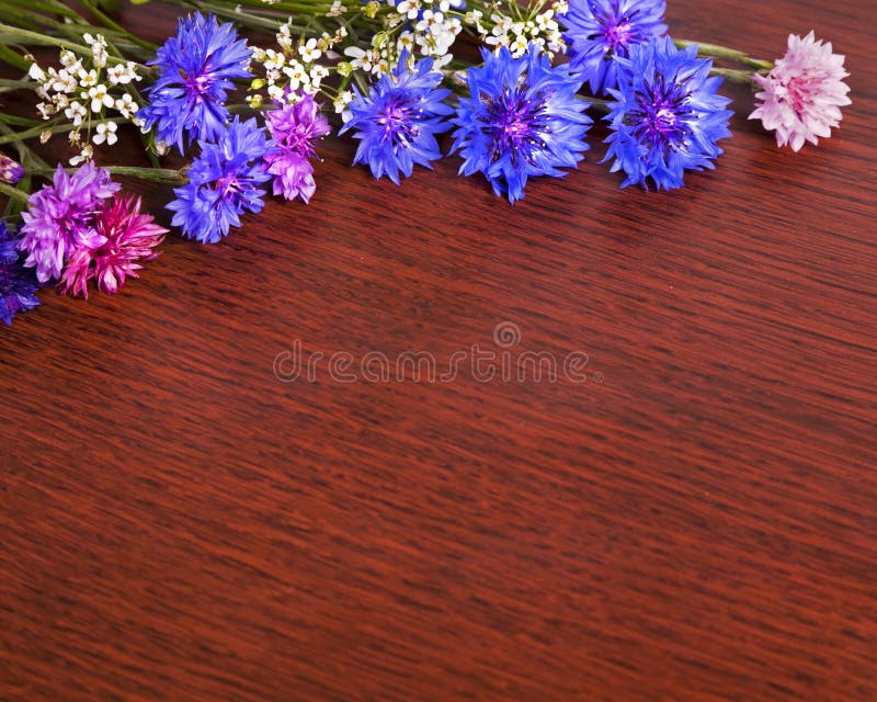 Cornflower and Wood Frame stock image. Image of arrangement - 33596277