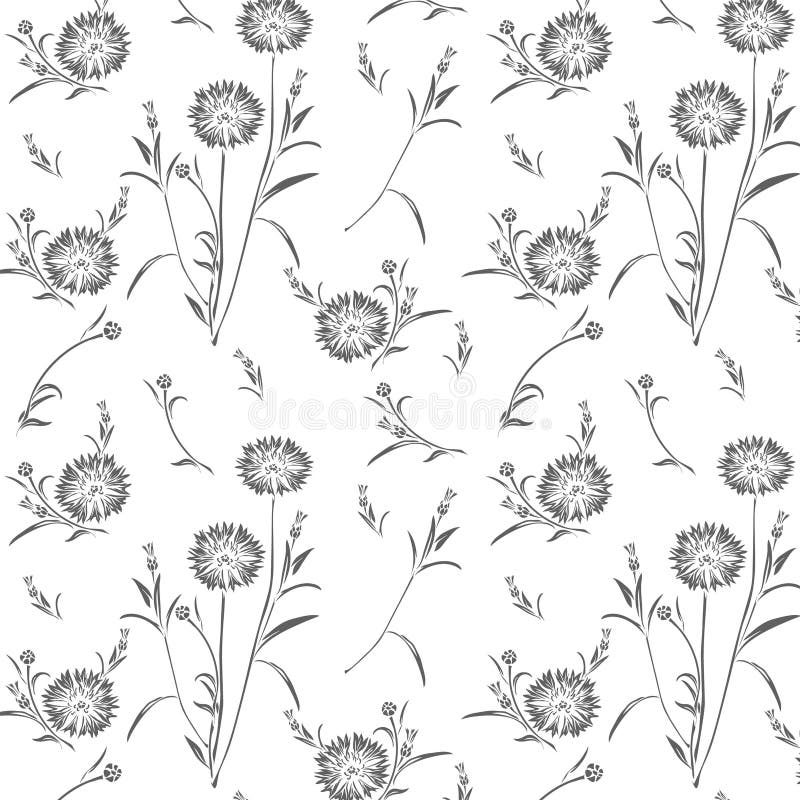 Cornflowers Seamless Floral Pattern Stock Vector Illustration Of Decorative Drawing 274159760
