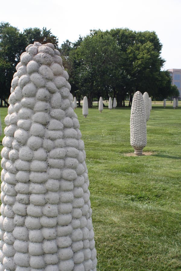 Cornhenge 4 editorial photo. Image of bloom, office - 100907291