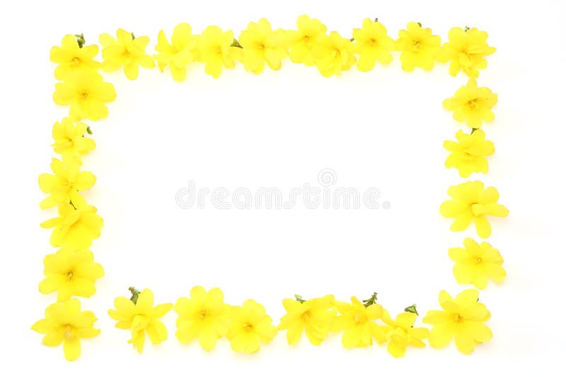 Cornice del fiore giallo fotografia stock. Immagine di uscire - 69223722