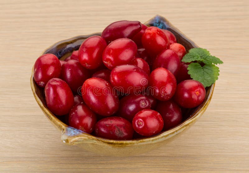 Cornina immagine stock. Immagine di frutta, natale, sugoso - 47335393