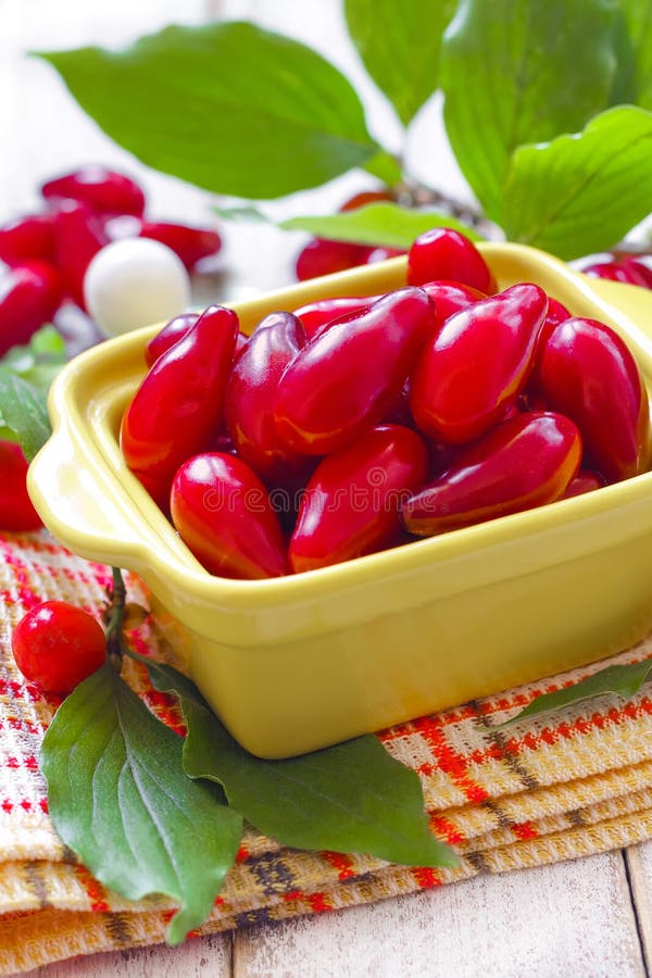 Cornina. Bacche Della Cornalina Fotografia Stock - Immagine di bacche ...