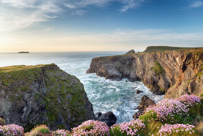 Cornish Clifftops stock photo. Image of scenery, seashore - 55550524