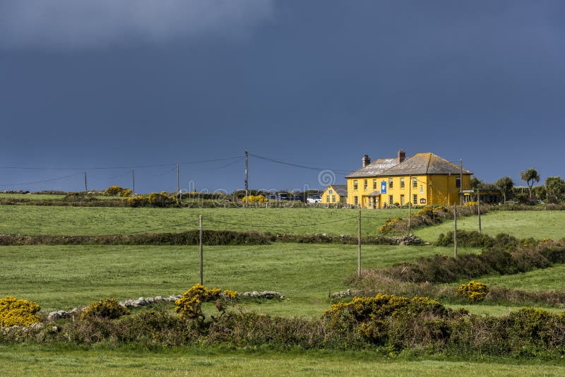 Cornish Landscape Common Gorse Stock Photos - Free & Royalty-Free Stock ...