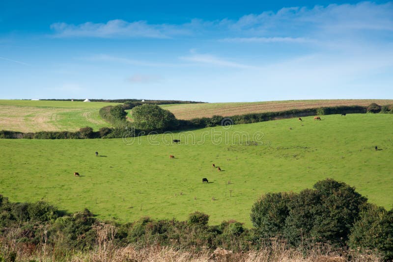 Cornish Landscape stock image. Image of holiday, port - 84289747