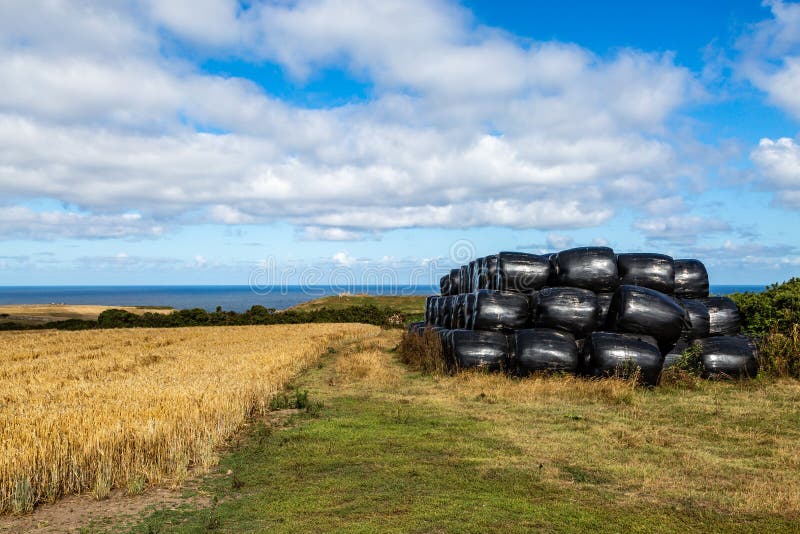 Hay Bales in a Field in the South Downs on a Hot Summer S Evening Stock ...