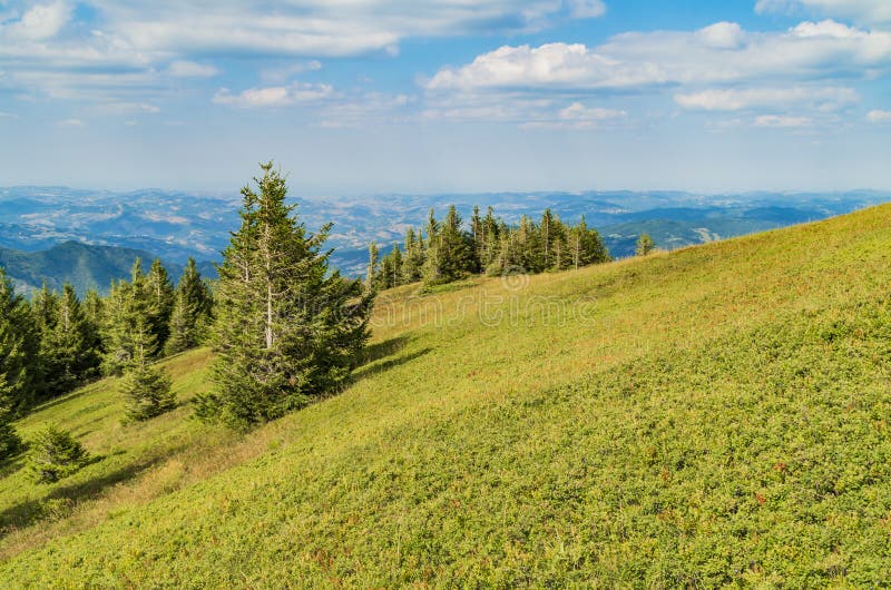 The Greenery and Meadows of the Mountains in Summer Stock Image - Image ...