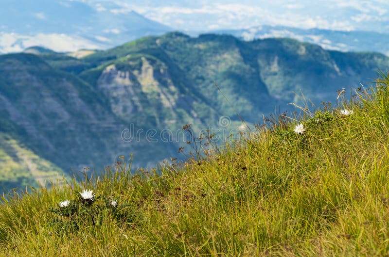 The Greenery and Mountain Peaks in Summer Stock Photo - Image of scale ...