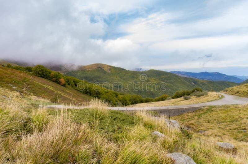 The Greenery and Mountain Peaks in Summer Stock Image - Image of alle ...