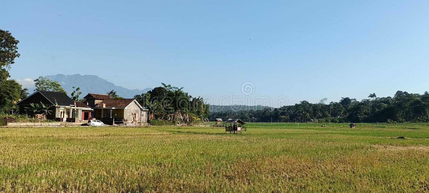 The cornor of a village