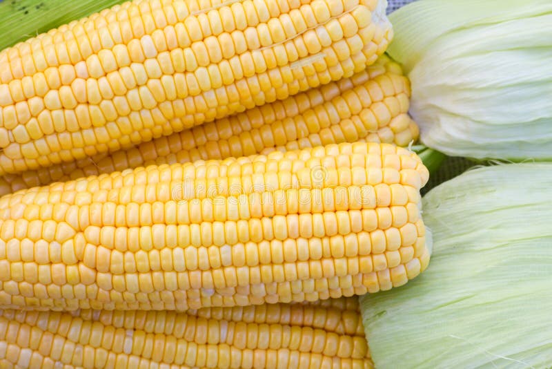 Corns backgrounds stock image. Image of cuisine, backgrounds - 59621821