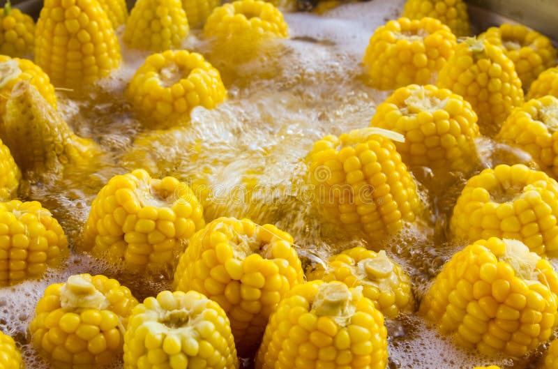 Corns boil stock image. Image of sell, cornstarch, food - 59921865