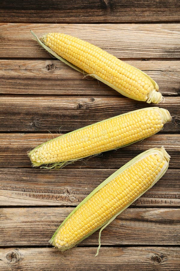 Corns stock image. Image of golden, leaf, healthy, corncob - 62697937
