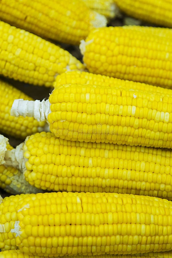 Pile of Raw Corns Out of Box on White Background Stock Photo - Image of ...
