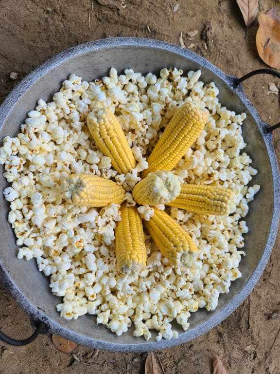 Corns with Popcorn in a Bowl Stock Image - Image of agriculture, abowl ...