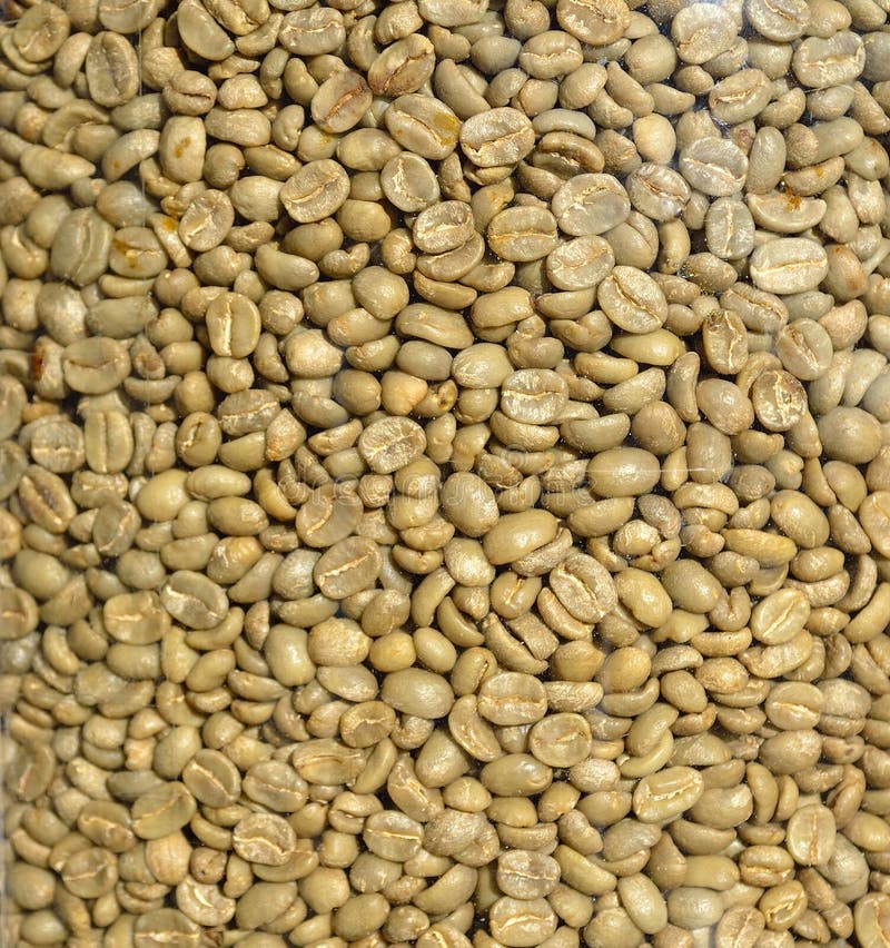 Cup of coffee from corns stock image. Image of fabric - 18379189