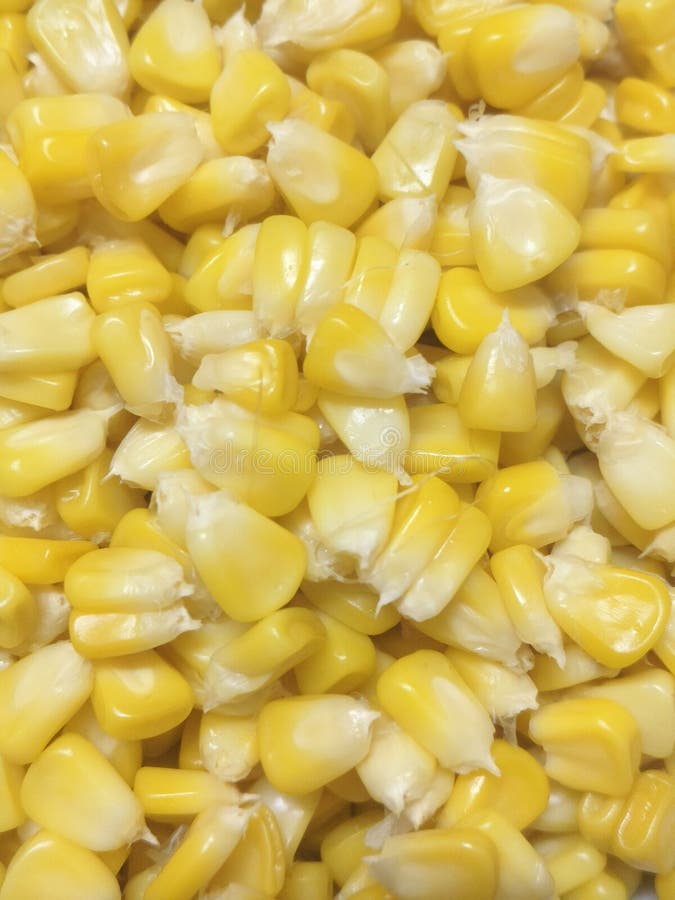 Corns Yellow Toasted Corn, Corn Mixed with Butter Cooked Corn Kernels ...