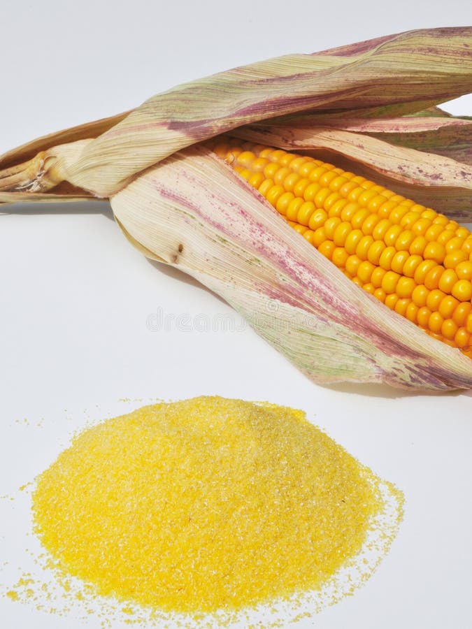 Cornstarch stock photo. Image of powder, healthy, grain - 16061782