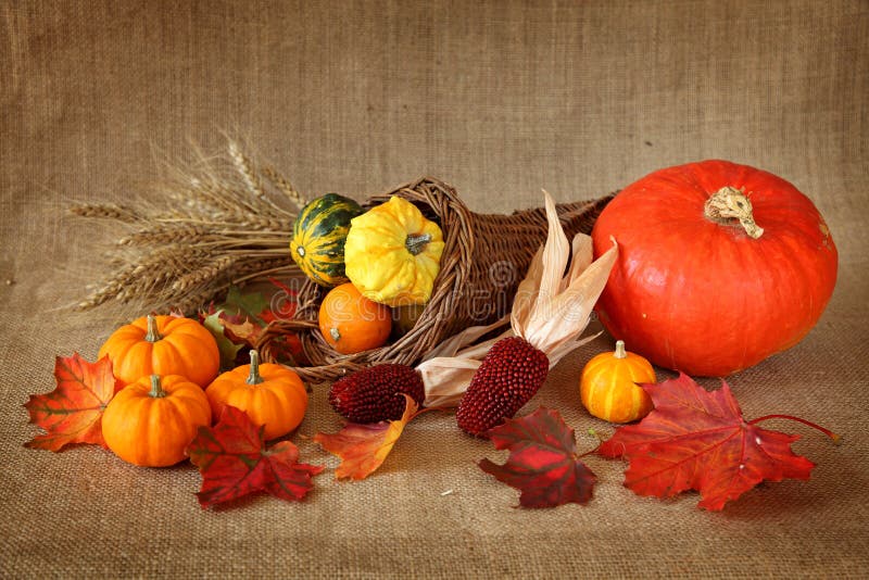 Cornucopia stock image. Image of basket, horn, decoration - 11177867