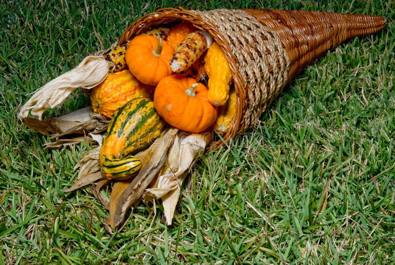Cornucopia stock image. Image of basket, horn, decoration - 11177867
