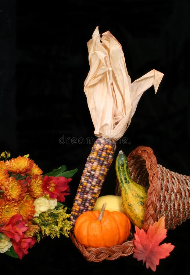 Cornucopia stock image. Image of holiday, chrysanthemum - 1443001