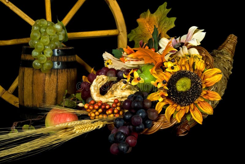 Cornucopia stock photo. Image of green, grape, apple - 16464032