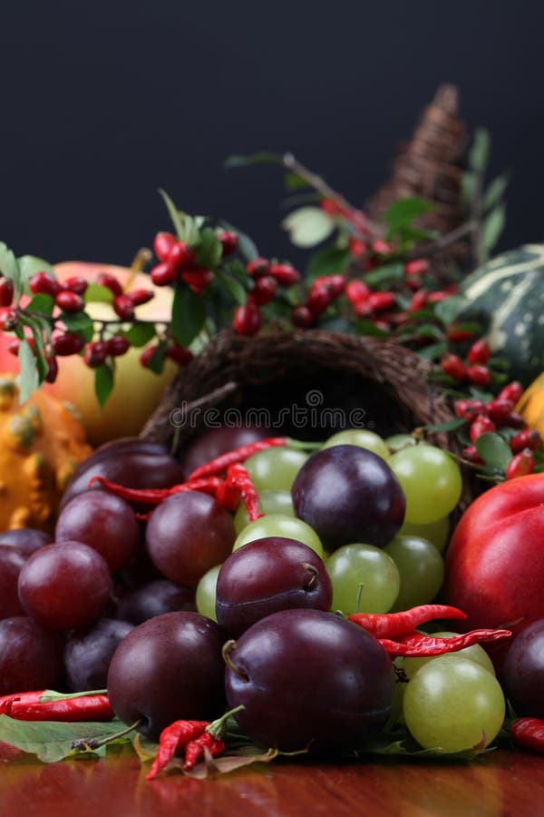 Cornucopia stock image. Image of abundance, holiday, cornucopia - 16589717