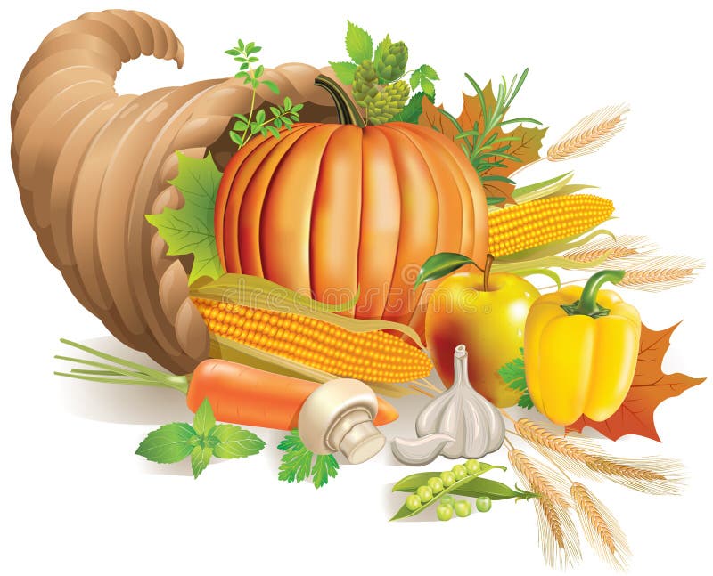 Cornucopia stock vector. Illustration of delicious, ears - 45303327