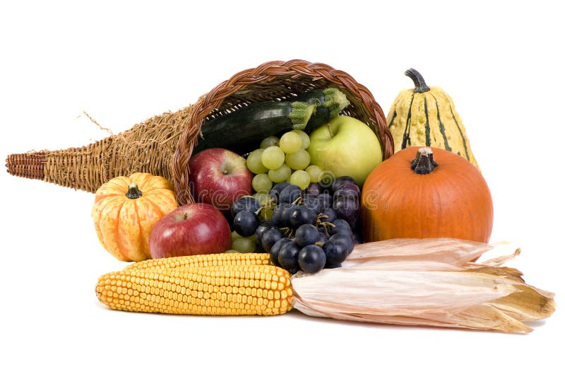 Cornucopia stock photo. Image of dried, nourishment, bountiful - 3078530