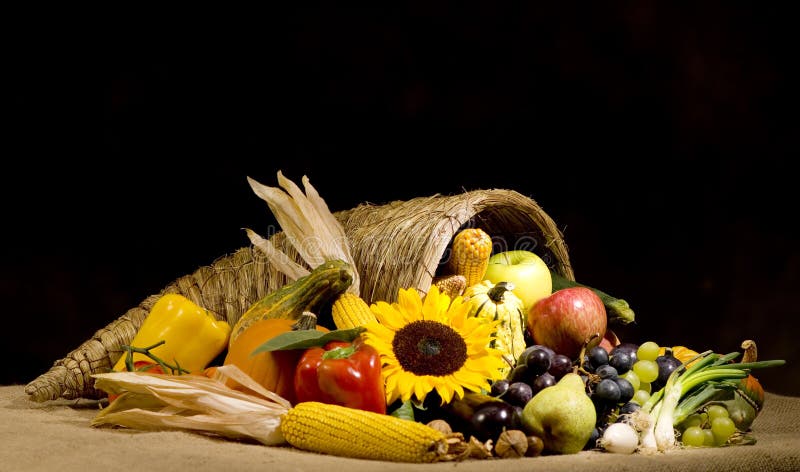 Cornucopia stock photo. Image of dried, nourishment, bountiful - 3078530