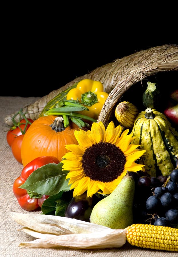 Cornucopia stock photo. Image of dried, nourishment, bountiful - 3078530